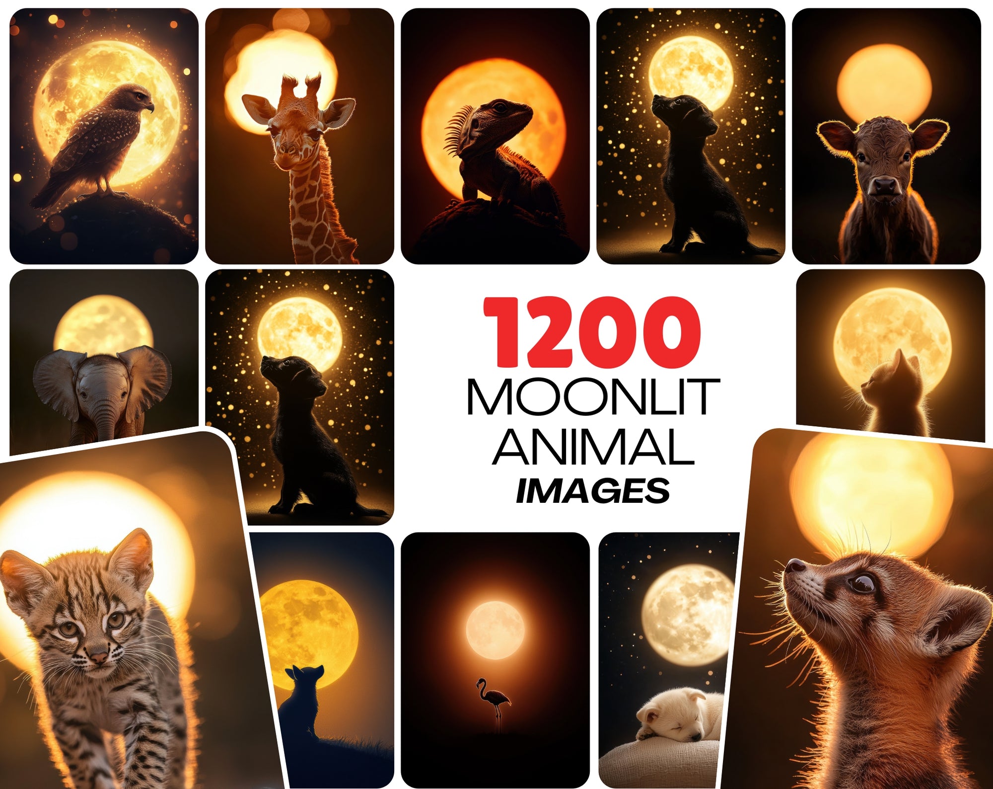 1200 Magical Animal Moon Art Prints – Try 200 Free Samples, Glowing Fu