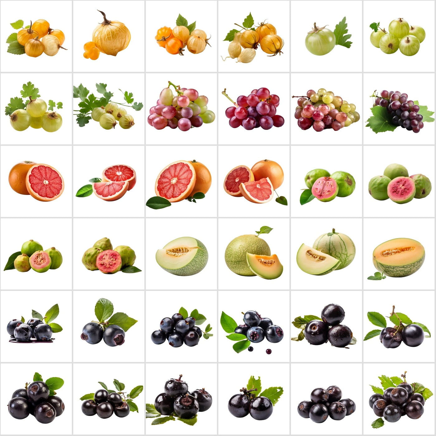 400 Isolated Fruit Photos with Transparent Background
