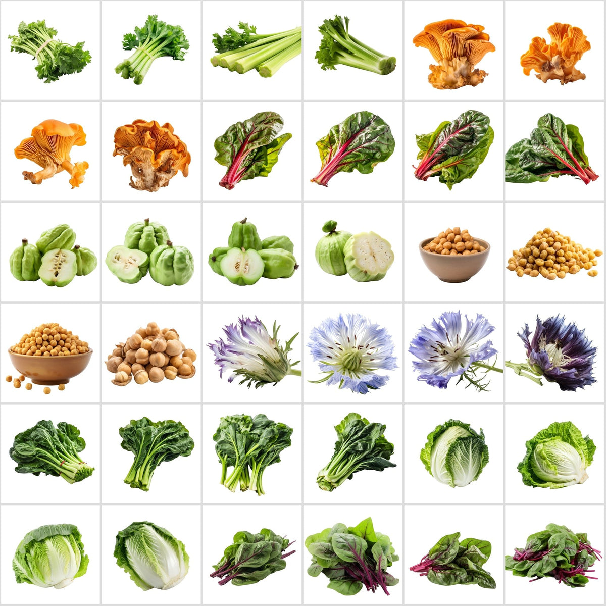 400 Isolated Vegetable Images with Transparent Background
