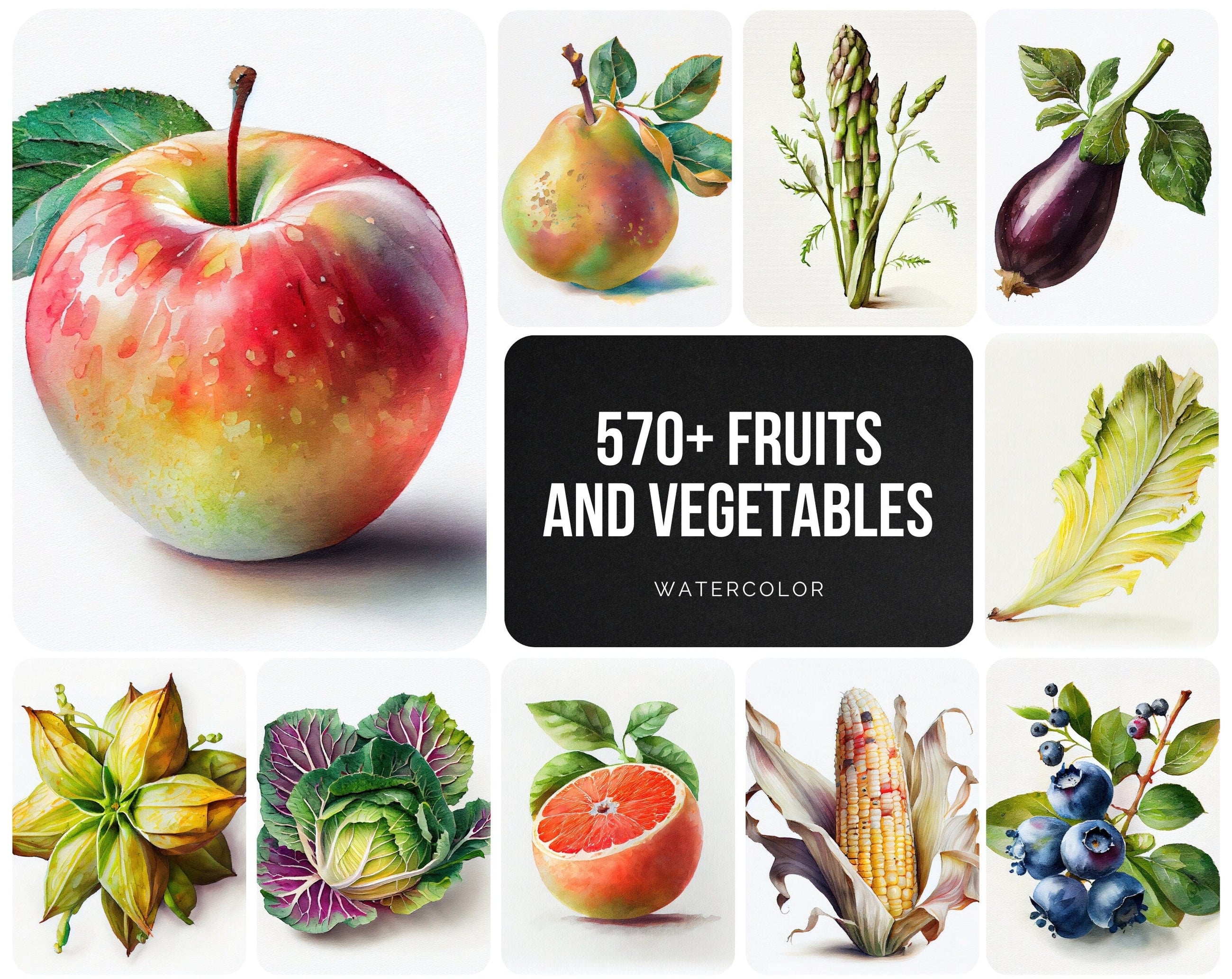 570 Vibrant Watercolor Fruits and Vegetables Bundle for Commercial Use