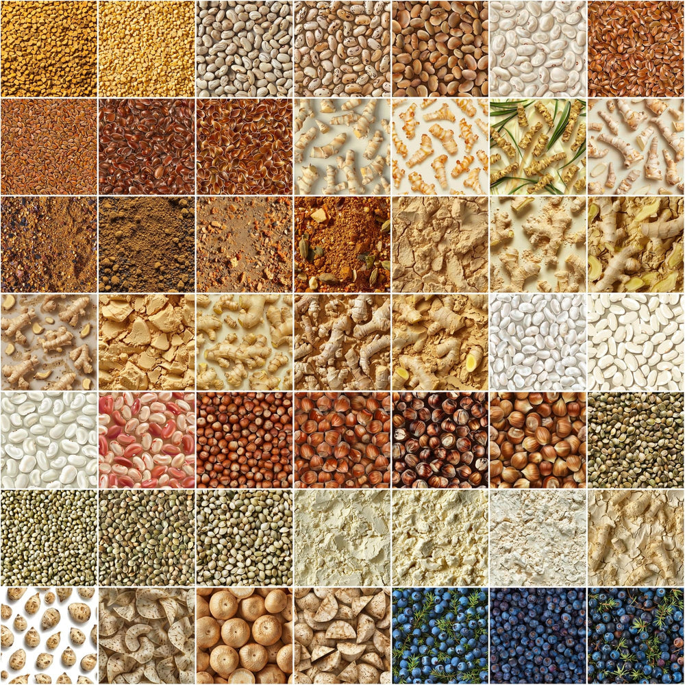 660 Seamless Spice & Seed Backgrounds with Photoshop Patterns
