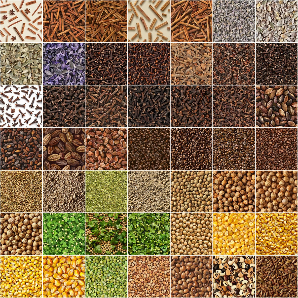 660 Seamless Spice & Seed Backgrounds with Photoshop Patterns