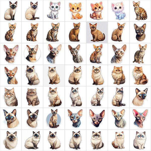 800 High-Res Cat Stickers, PNG Files, Transparent & White Background,