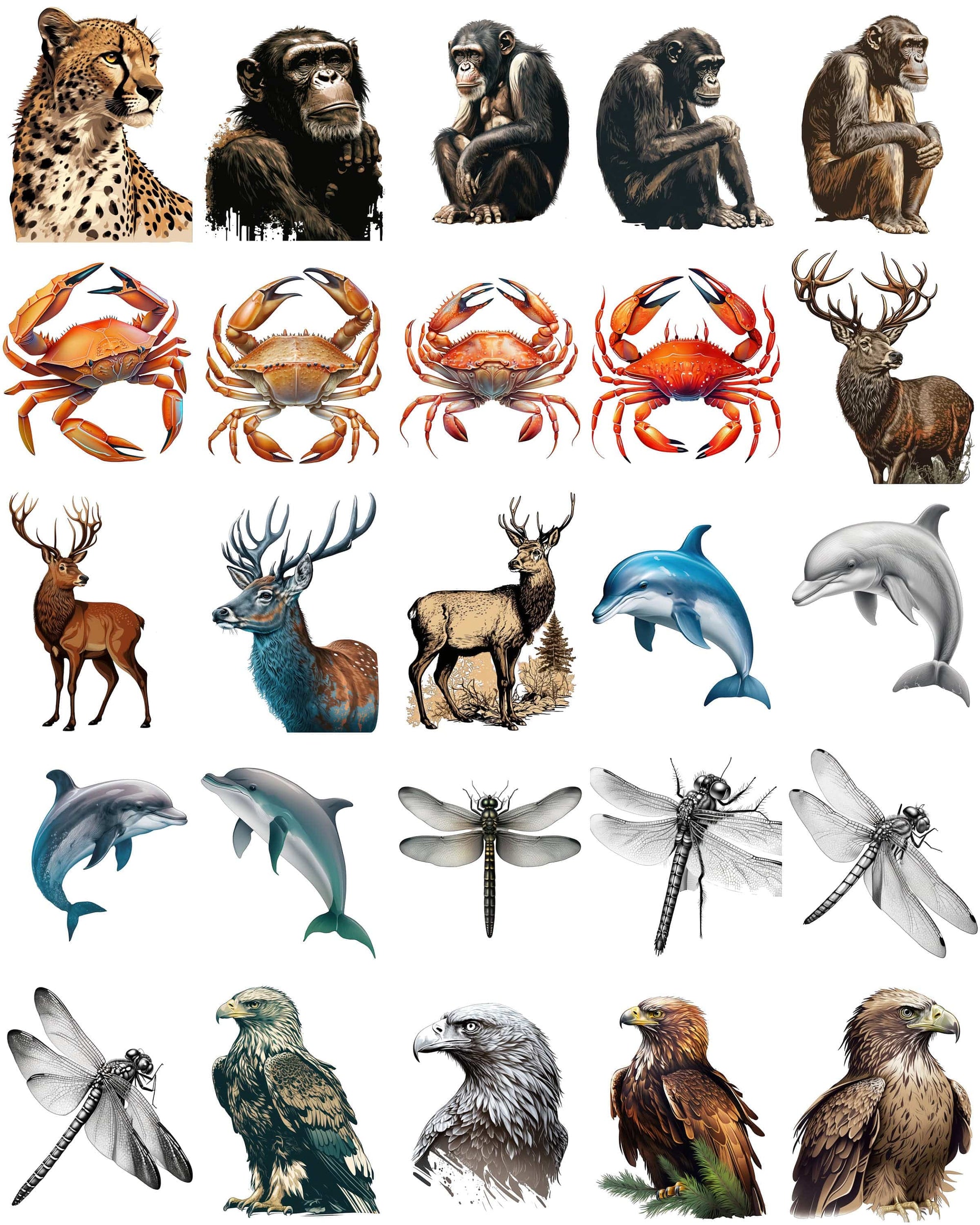 Make your designs come alive with our transparent animal set of 230 wi