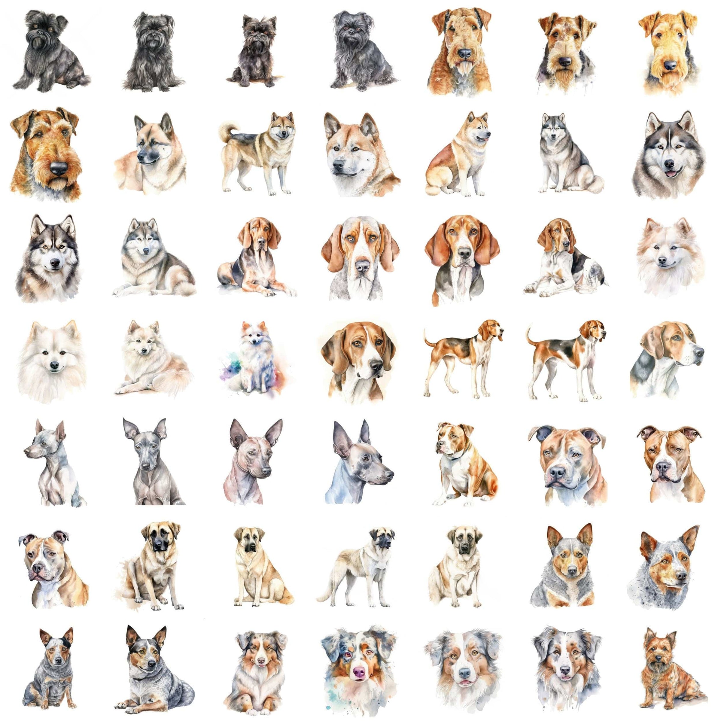 Ultimate Dog Breed Bundle: 750 High-Quality Transparent PNG Watercolor