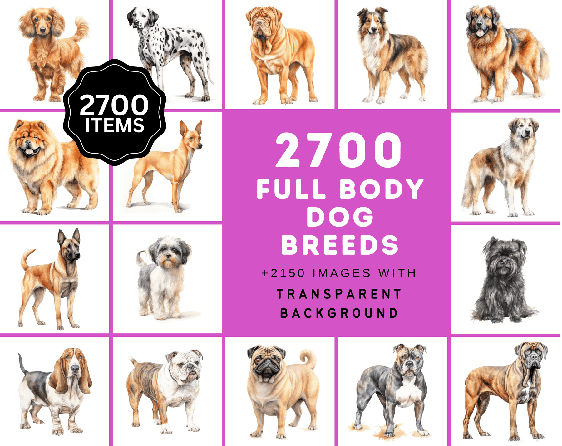 Download 2700 Dog Breed Transparent PNGs - Commercial Use